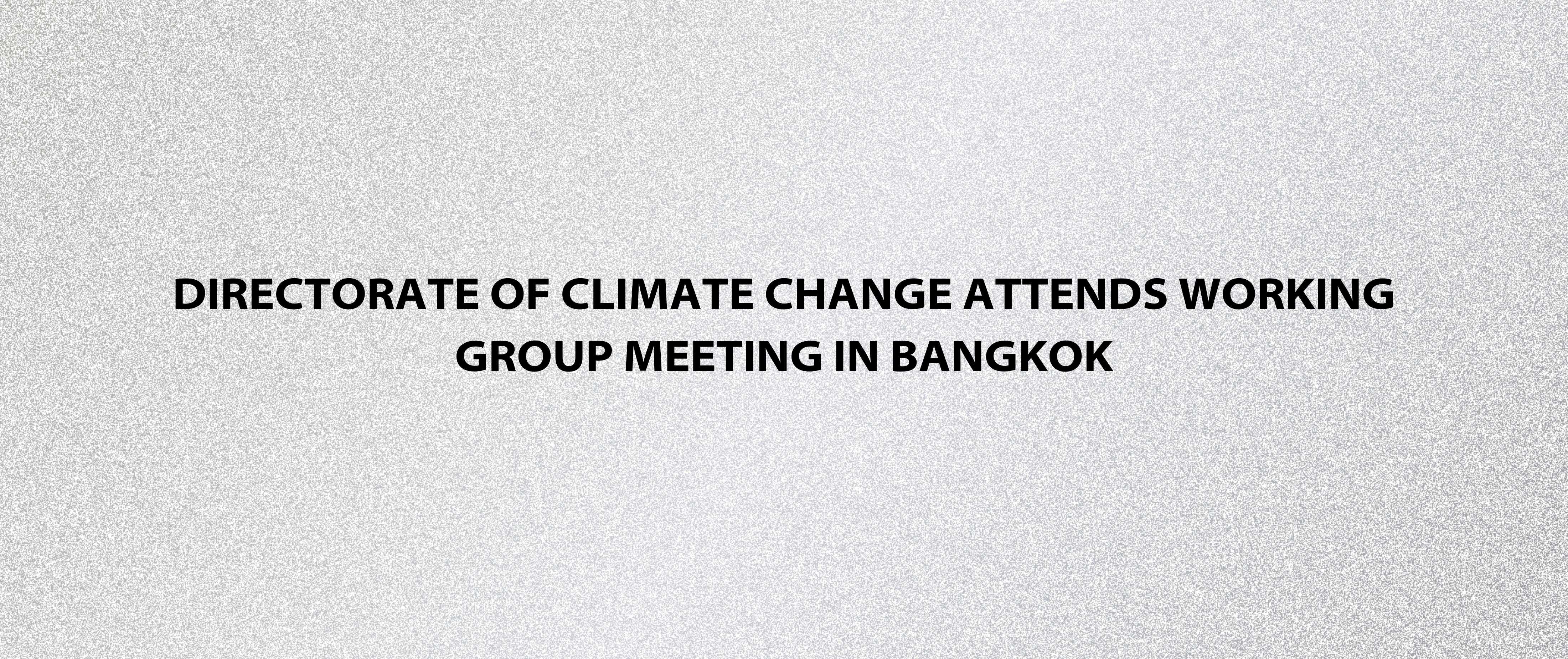 Directorate of Climate Change Attends Working Group Meeting in Bangkok